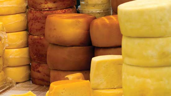 Cheese Processing and Manufacturing Solutions | Ecolab